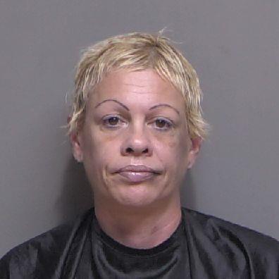 Flagler County, FL Arrests | Public Jail Records